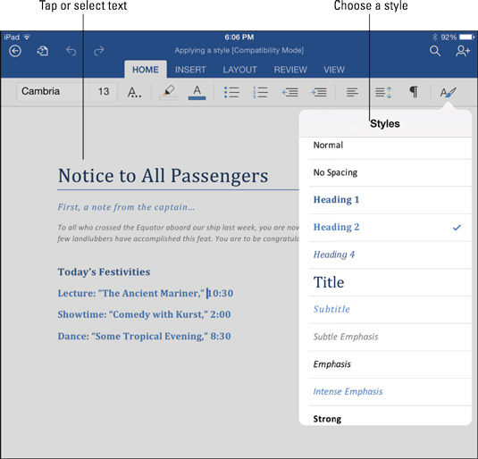  iPad Word office 