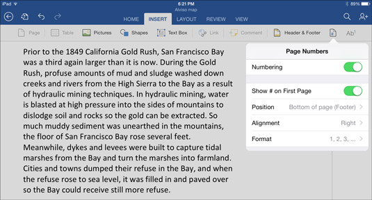  iPad Word office 
